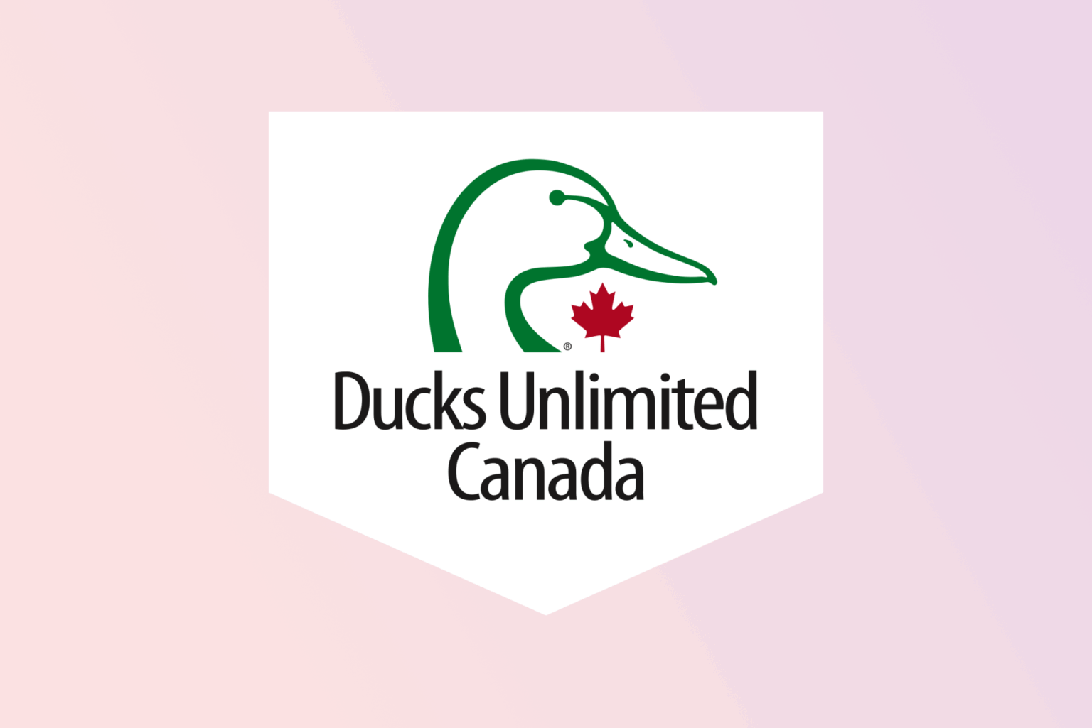 Video del caso di studio | Ducks Unlimited Canada