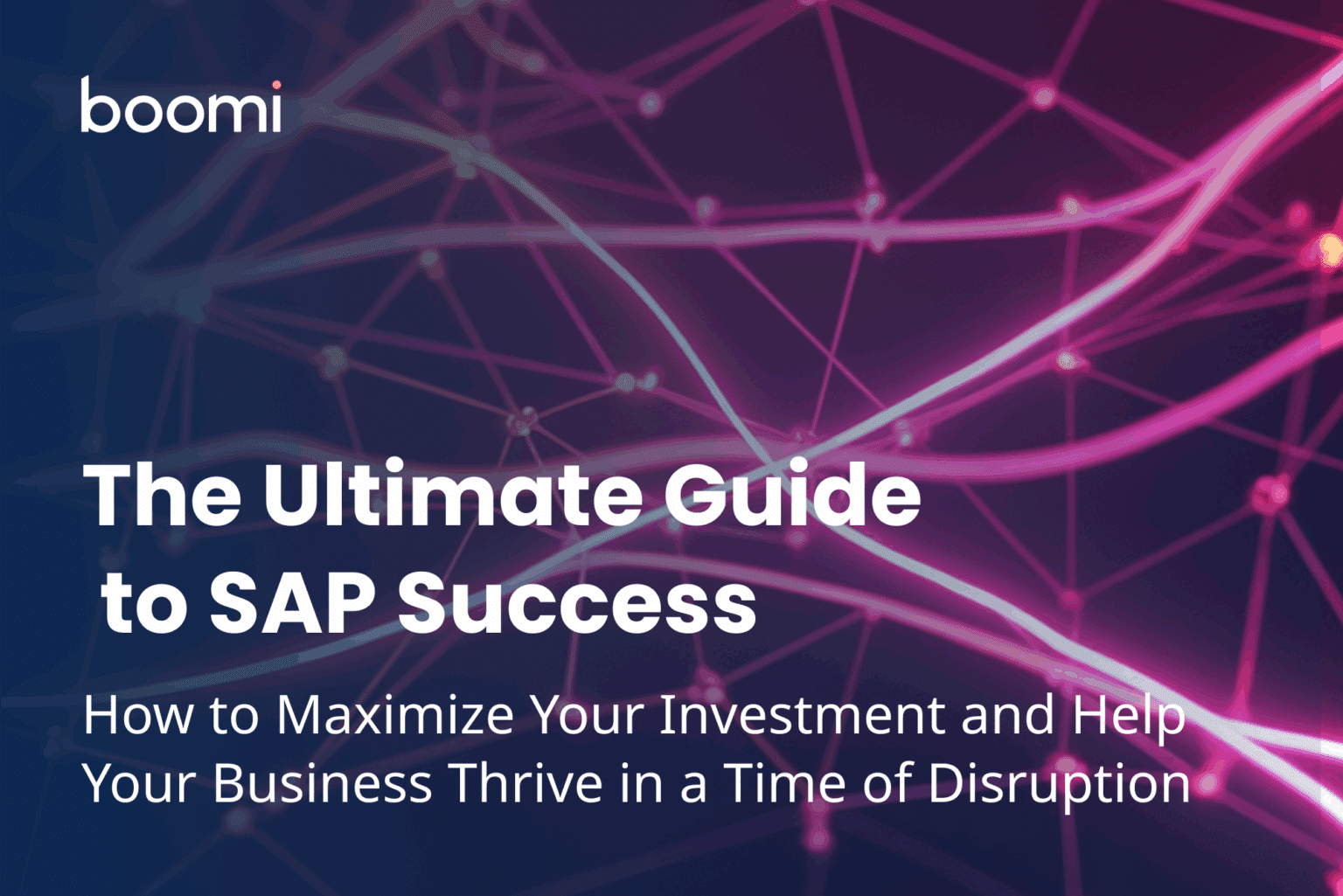 Boomi for SAP Integration Solutions